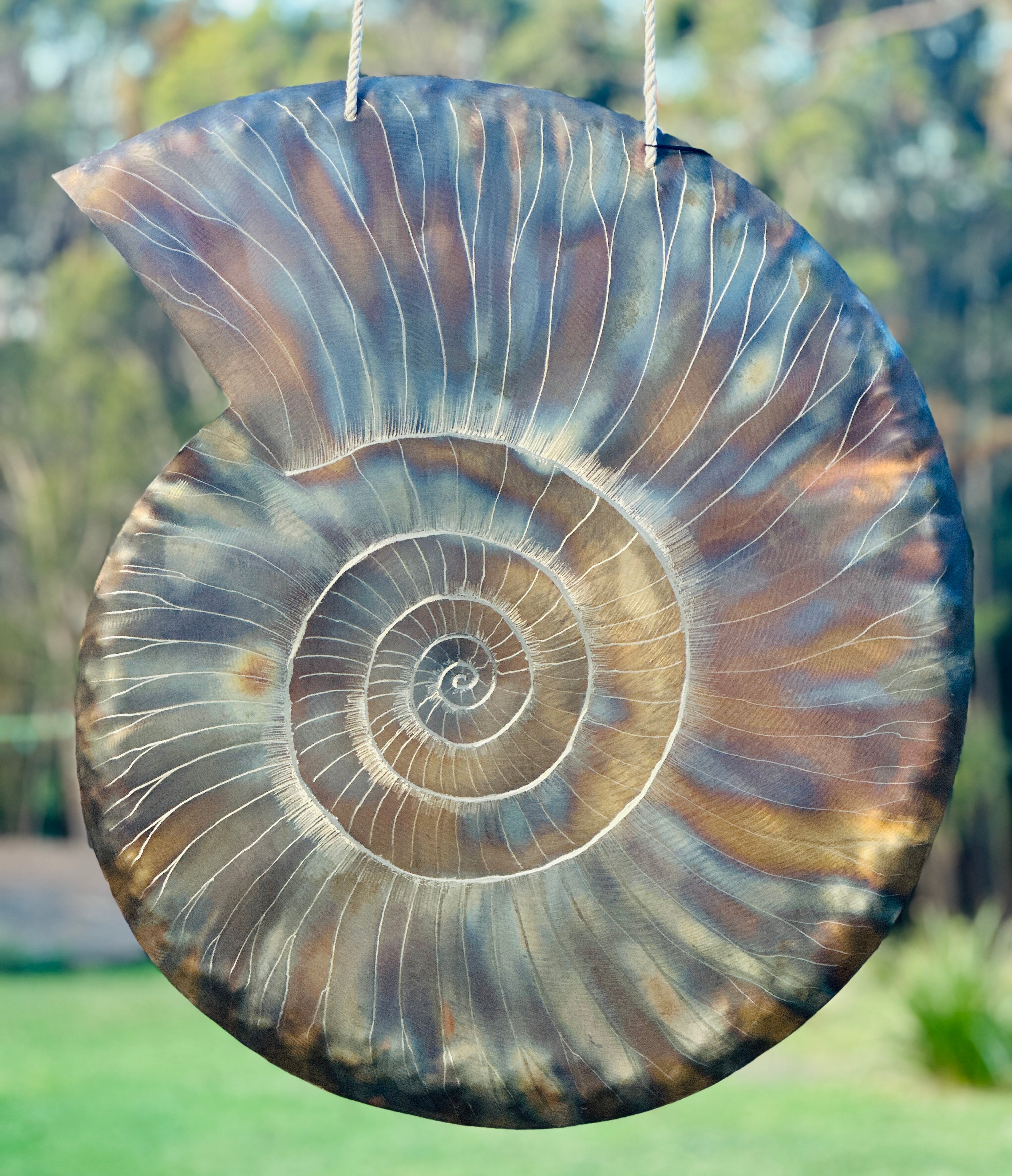 Ammonite Fibonacci Gongs – GongDwana